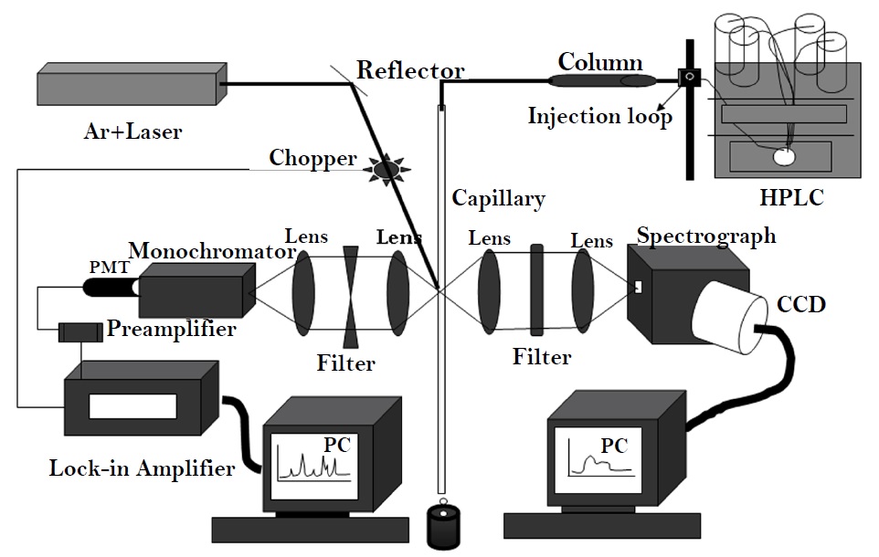 Protein Profile Studies of Cervical Tissue Homogenates Using HPLC-LIF