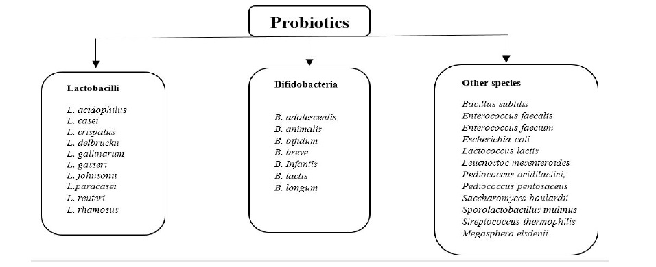 Beneficial Characteristics and Evaluation Criteria of Probiotics