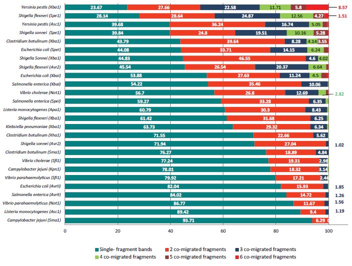 Novel Algorithms for PFGE Bacterial Typing: Number of Co-Migrated DNA ...