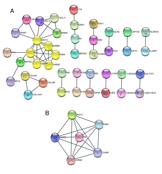 Comprehensive Analysis Reveals a Six-Gene Signature and Associated ...