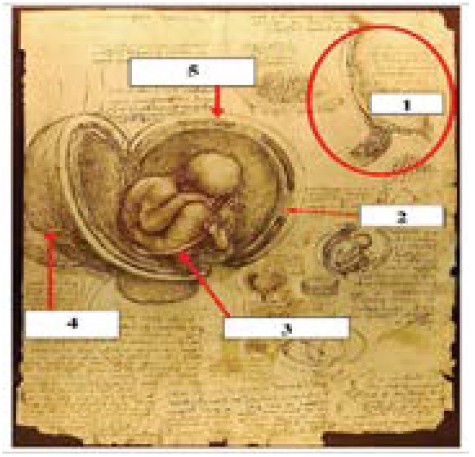 A Brief Historical Survey of the Illustrations of the Positions of the ...