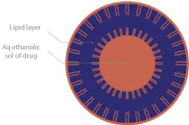 Formulation and In-vitro Evaluation of Ciclopirox Ethosomal Gel