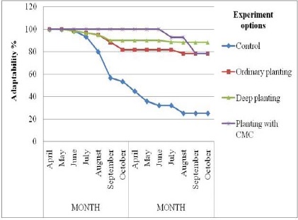 Results of Experiments on Creation of Forest Cultures from Sievers ...